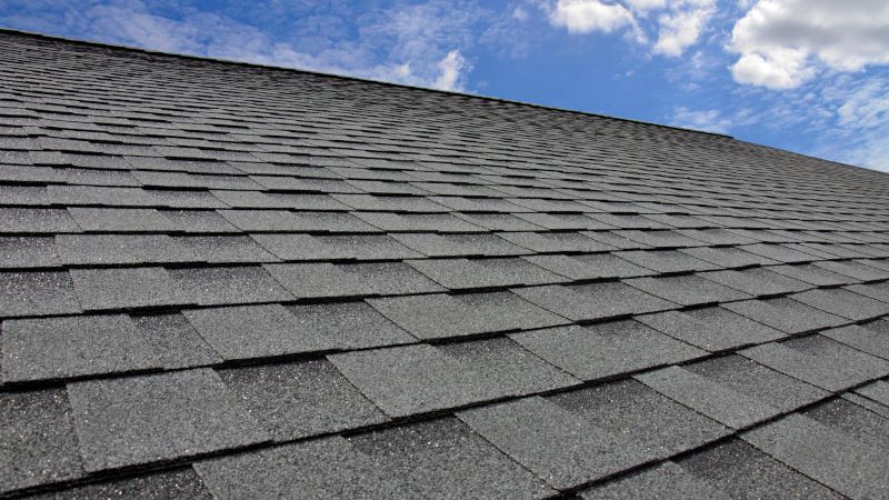 The Role of Roof Cleaning in Protecting Shingle Life | Southpaw Softwash
